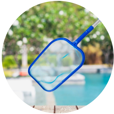 Pool Cleaning Tools: Effective Maintenance Equipment | Perfect Pools NZ"